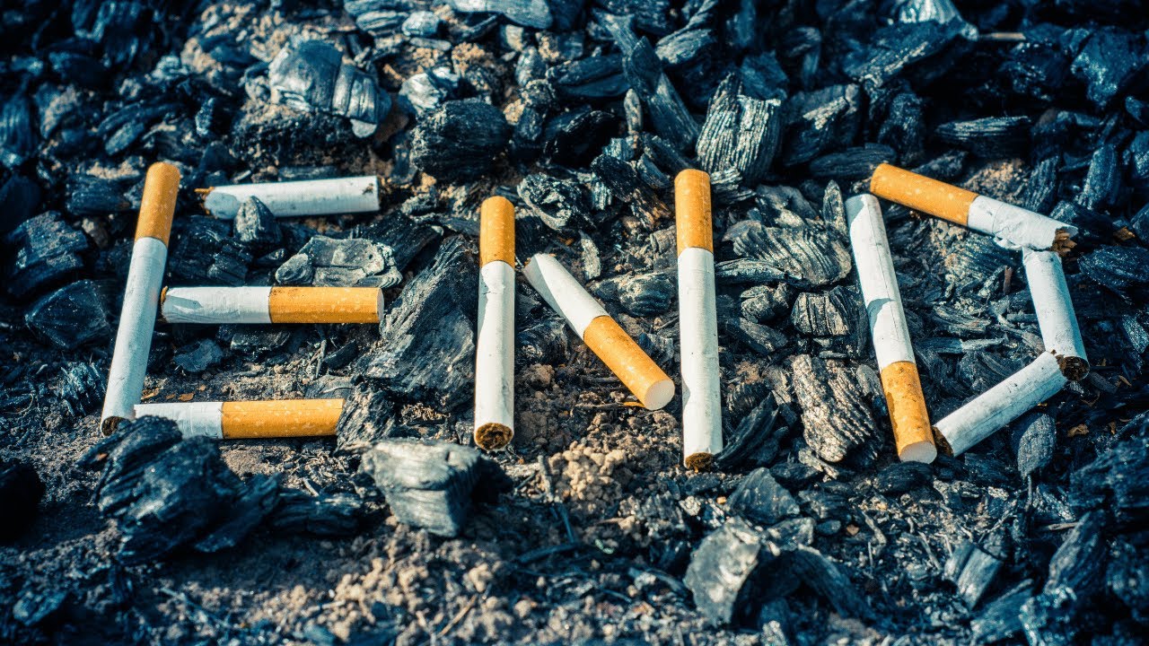 The Truth About Weed: Is It Really Harmless? | Health Risks, Myths ...