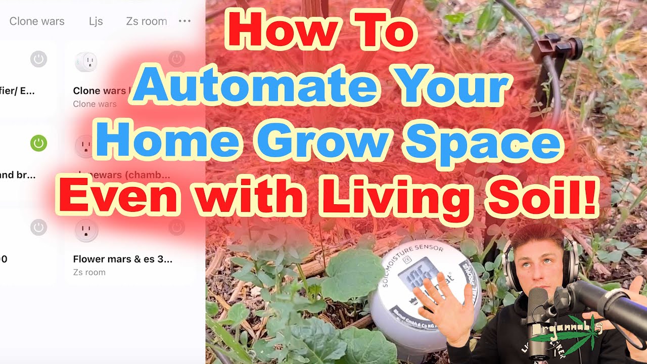 How To Automate Your Home Grow Room Even With Living Soil Thcscout