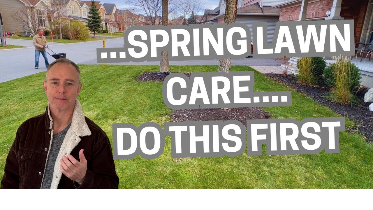 FIRST STEPS: Early Spring Lawn Care – How to Prepare Your Lawn for a ...