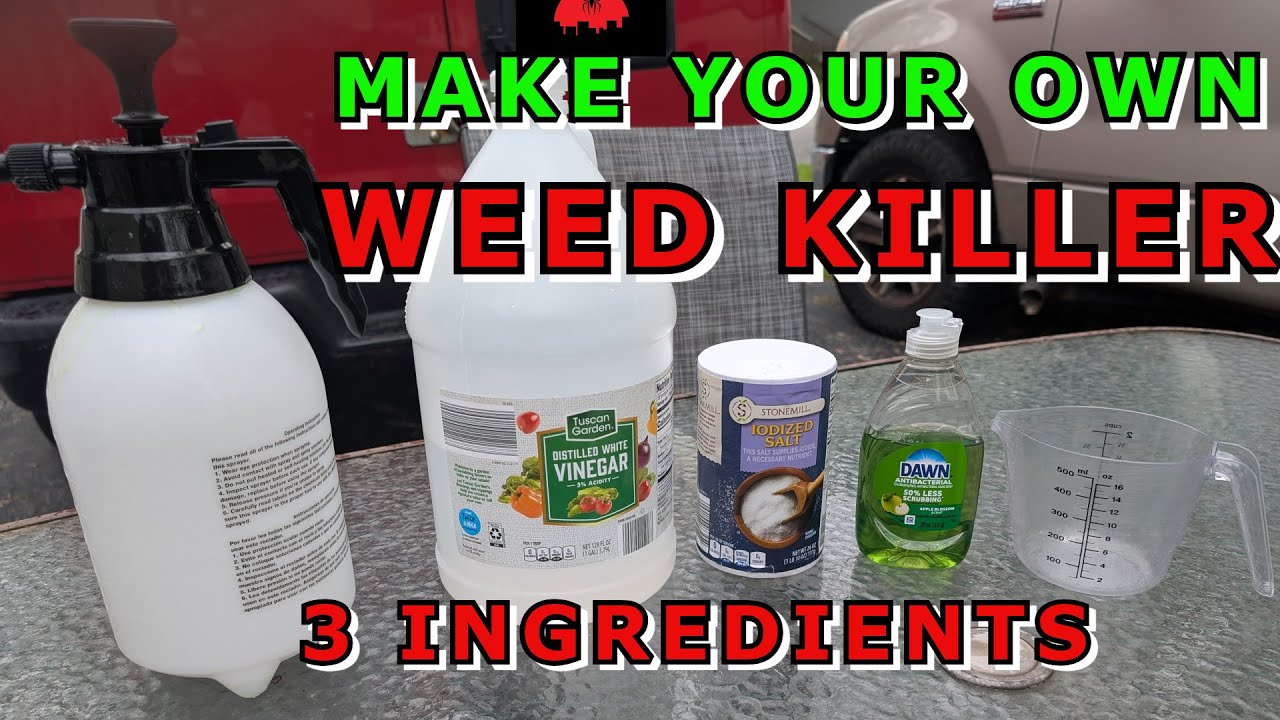 DIY Weed Killer – Easy Homemade Recipe – thcscout.com