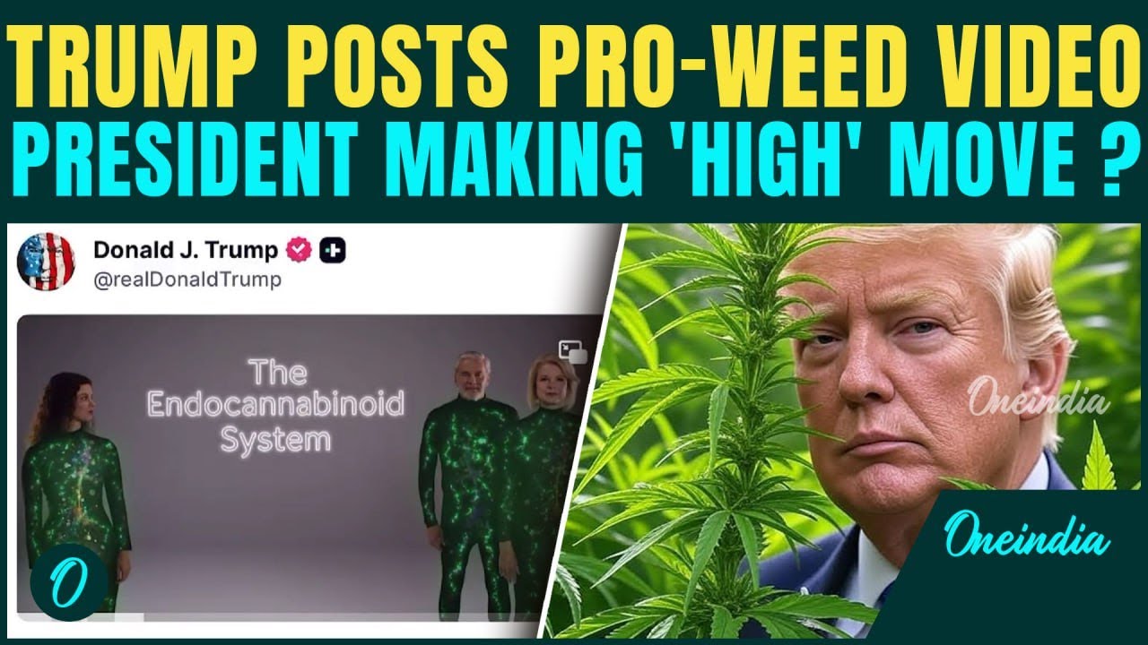 Trump Shares Pro-Weed Video Amid DEA Review | Could Move Marijuana To ...