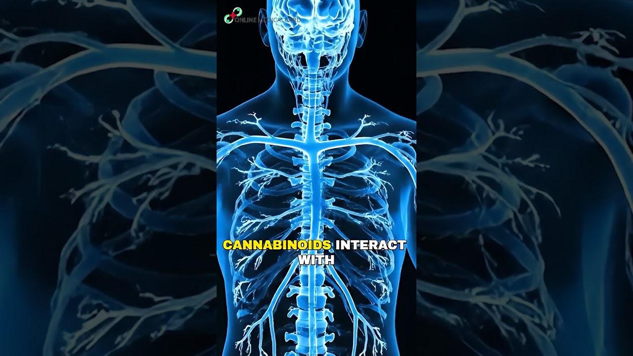 Medical Marijuana Recommendation For Arthritis – thcscout.com